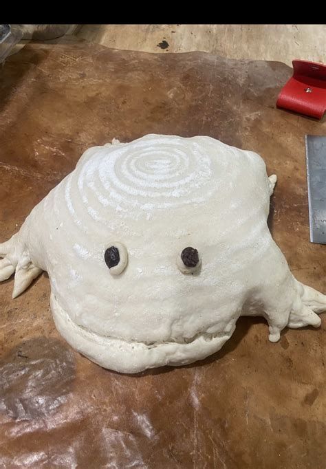 Sourdough Frog Loaf Showdown Frog 1 Vs Frog 2 Tiktok