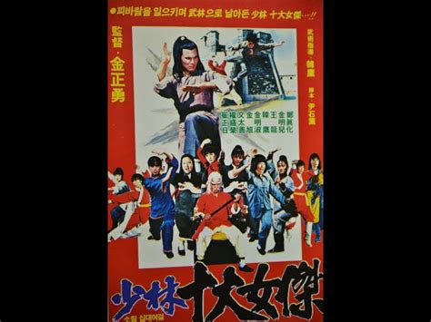 소림십대여걸 피바람을 일으키며 무림으로 날아든 여걸들의 화려한 액션