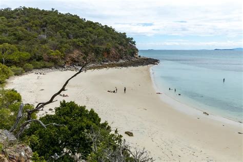Shelving Beach A Small Snorkelling Beach On Great Keppel Hiking The