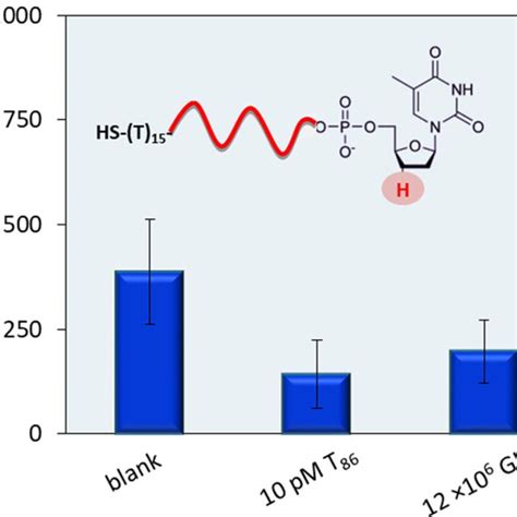 Effect Of Using A 5′‐thiolated Reverse Primer Blocked At Its Download Scientific Diagram
