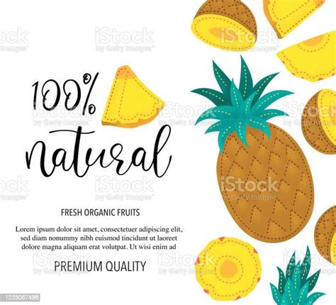 파인애플 전체 및 조각 벡터 배경입니다 흰색 배경에 격리된 벡터 스톡 그림입니다 과일 카드 디자인 상품 정보 및 레터링 100 내츄럴 0명에 대한 스톡 벡터 아트 및 기타