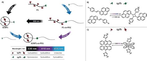 Schematic Representation Of The Light Induced Intrachain Crosslinking