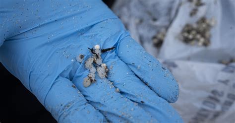 Portugal Encuentra Pélets En Sus Costas Pero Desconoce Si El Material