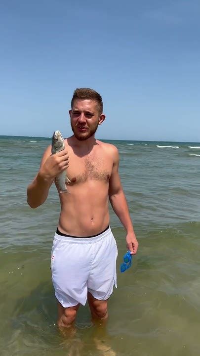 Как называется эта рыба Youtube