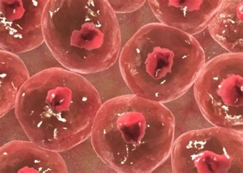 Cell Renewal The Secret To Great Skincare