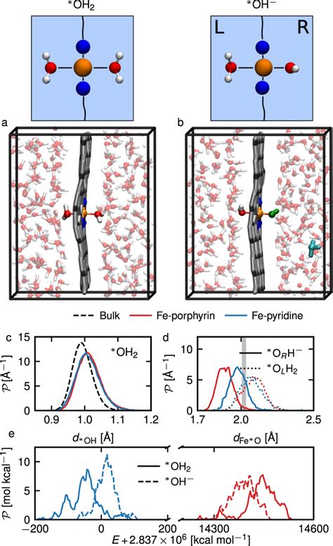Characterization Of The Fully Hydrated Fe Defects Schematic Download Scientific Diagram