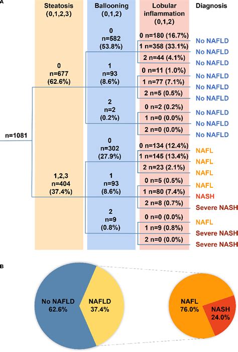 Figure 1 From Application Of Fatty Liver Inhibition Of Progression Algorithm And Steatosis