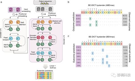 基因编辑工具分享（三） Be Dict 基于机器学习的碱基编辑效率预测模型 知乎