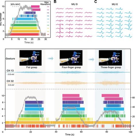 All 3d‐printed Soft High‐density Electrode Arrays A Schematic Download Scientific Diagram