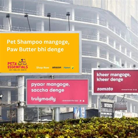 Nikhil Chauhan On Linkedin Why Not