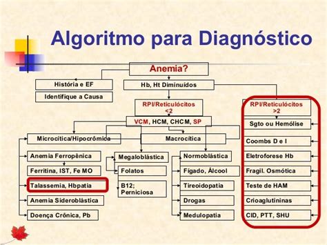 Anemias Hemolíticas Visão Geral Anemias Hemolíticas Visão Geral