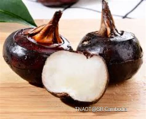 អត្ថប្រយោជន៍នៃមើមថ្លុង ២ Tnaot