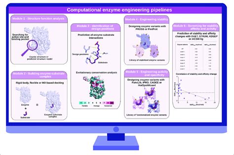 Computational Enzyme Engineering Pipelines Module 1 Download Scientific Diagram