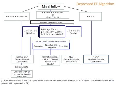 Echo Differentiation Of Restrictive Cardiomyopathy And Constrictive