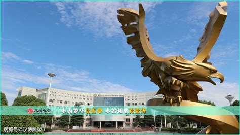 鹰雕塑 造型艺术的一种 搜狐大视野 搜狐新闻