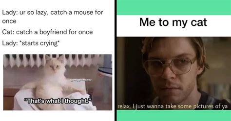 Funniest Memes Of The Week Starring The Most Rebellious And Mischievous Cats I Can Has