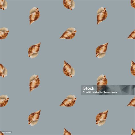 조개껍데기가 있는 수채화 이음매 없는 패턴 손으로 그림을 그리는 클립아트 수중 생물은 흰색의 고립된 배경에 있다 디자이너 장식 엽서 포장지 스크랩북 표지 초대장 웨딩 디자인