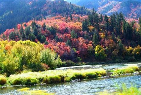 Logan Canyon Scenic Drive