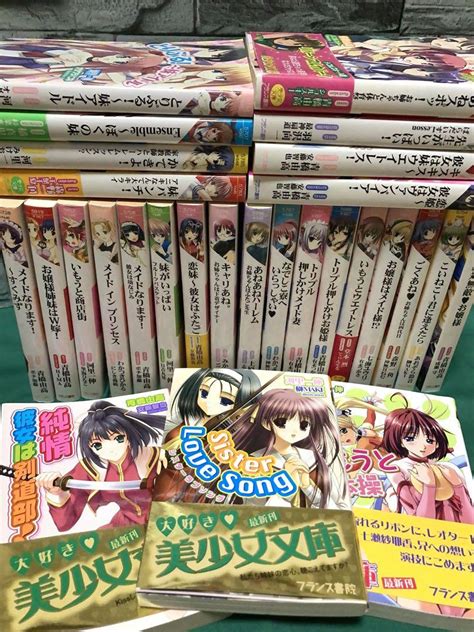 フランス書院 美少女文庫 28冊 まとめ売り メルカリ