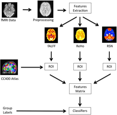 Flow Of Data Processing The Raw Fmri Data Is Preprocessed The Feature