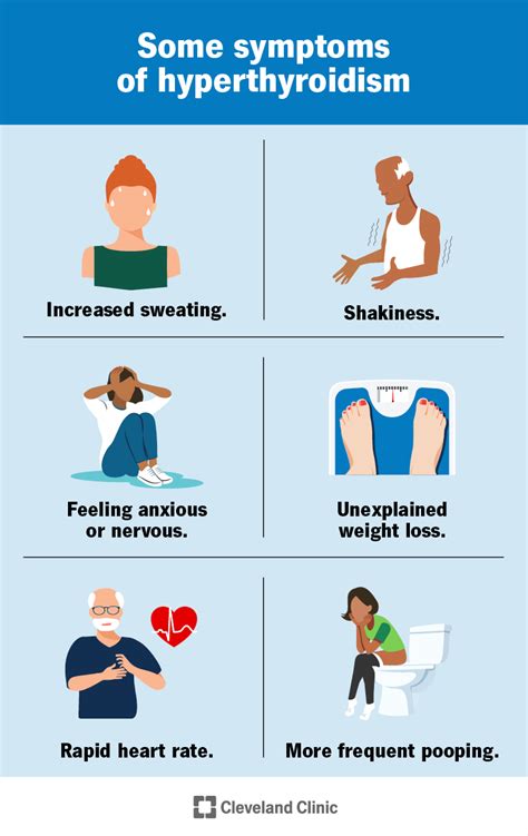Hyperthyroid Là Gì Cách Sử Dụng Từ Hyperthyroid Trong Tiếng Anh Hyperthyroid Là Gì Cách Sử Dụng Từ Hyperthyroid Trong Tiếng Anh