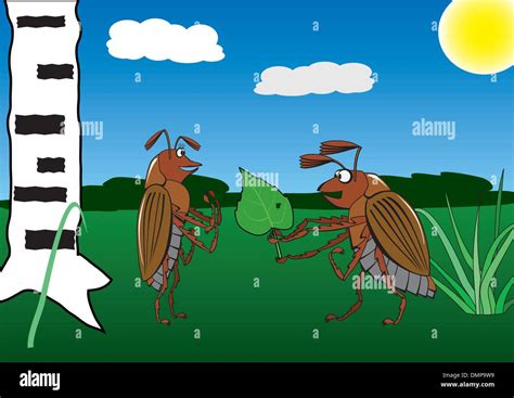 Spring May The Enamoured Bug Stock Vector Image And Art Alamy