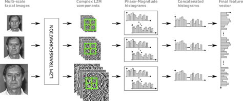 Steps Of The Proposed Multi Scale Feature Extraction Scheme Using Lzm