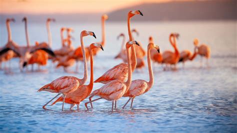 John W Raymond