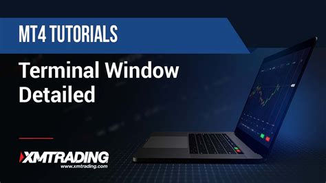 XMTRADING MT4 Tutorials Terminal Window Detailed YouTube