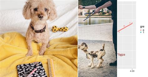 List Regression Curated By Vivekananda Das Medium