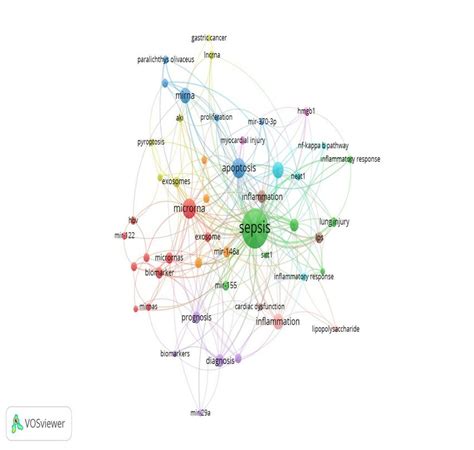 Visualization Analysis Of Co Authorship Among Mostly Publishing Authors