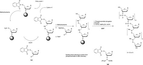 Modified Internucleoside Linkages For Nuclease Resistant Oligonucleotides Rsc Chemical Biology