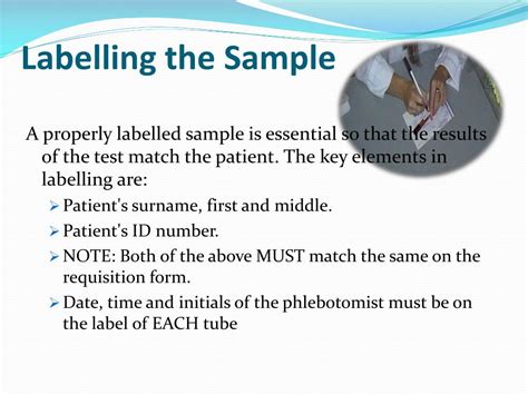 PPT LABORATORY SPECIMEN COLLECTION HANDLING PowerPoint Presentation ID 842026