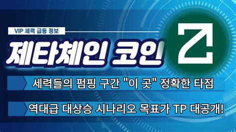 제타체인코인 6월 대반등 시작할 제타체인 코인 무조건 이 날 세력들의 펌핑 시작합니다 세력들이 준비한 계획 역대급 대상승