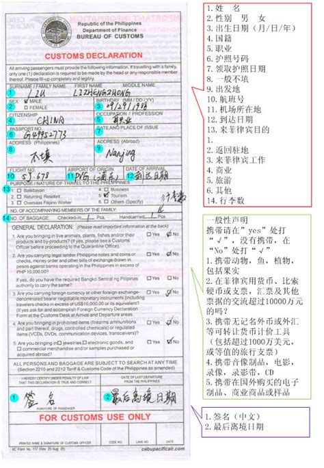 菲律宾入境入境卡2020入境大山谷图库