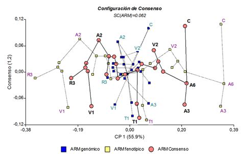 Mst Of Original Configurations And Consensus Configuration File Download Scientific Diagram
