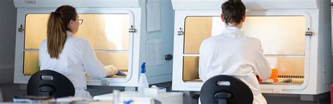 In Vitro Micronucleus Test Xcellr8