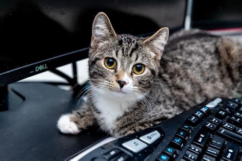 Winnies Update Froggy Has Been Adopted Name Froggy Age 16 Weeks