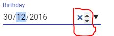 Reactjs Remove The Arrow And Cross That Appears For Textfield Type