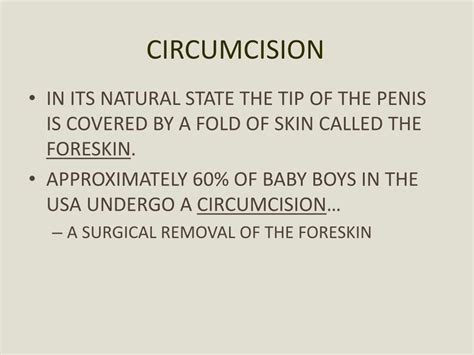 Ppt Male Anatomy Powerpoint Presentation Free Download Id6215421