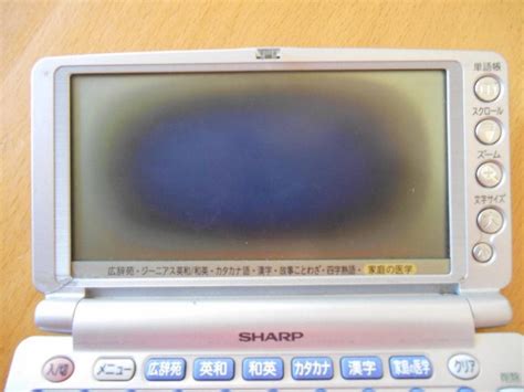 Lcd Display Failure Mode Page 1