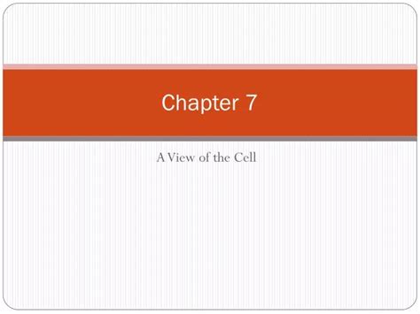 Ppt Chapter 7 Powerpoint Presentation Free Download Id2454361