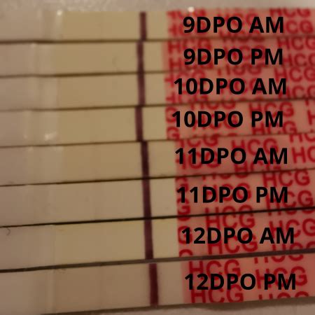 Line Progression BabyCentre