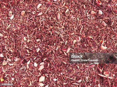 빨간 나무 뿌리 덮개 지상 덮개 정원 꽃은 보호 야드 칩 조경 물자를 덮는다 0명에 대한 스톡 사진 및 기타 이미지 0명 갈색 건조한 Istock