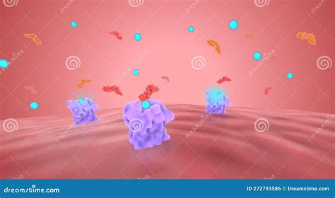 Beta Blockers Inhibit Beta Receptors Stock Illustration Illustration Of Illness Person 272793586