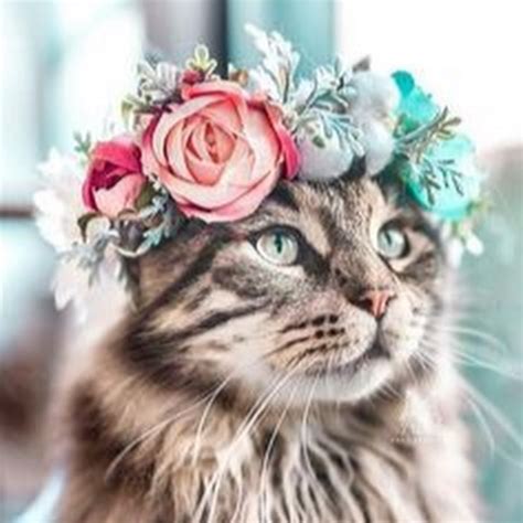 Areeba Kashif Youtube