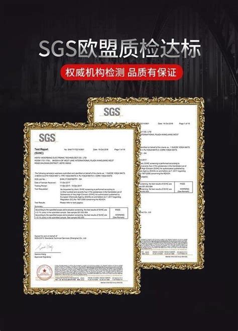 免運 全網最低價 200X90X15cm 告別傳統款瑜伽墊 跳繩墊 健身墊 瑜珈墊地墊多功能瑜珈墊加厚瑜伽墊LWJJ 露天市集 全台最