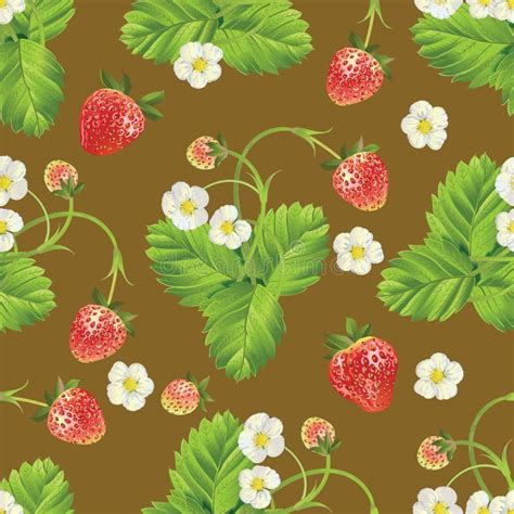 Beautiful Strawberries Vector Illustration Of A Realistic Stock Vector