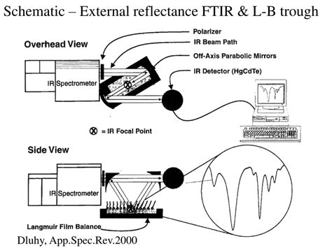 Ppt Advanced Techniques In Linear Dichroism Spectrometry For Molecular Orientation Studies