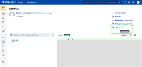 Pushing A Branch To Bitbucket Fails With The Error Refspec Matches